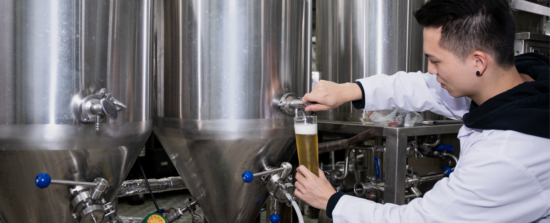 Beer Brewing Byproducts, Not Only for Animal Feed -Health potential ... Beer Brewing Byproducts, Not Only for Animal Feed -Health potential ...